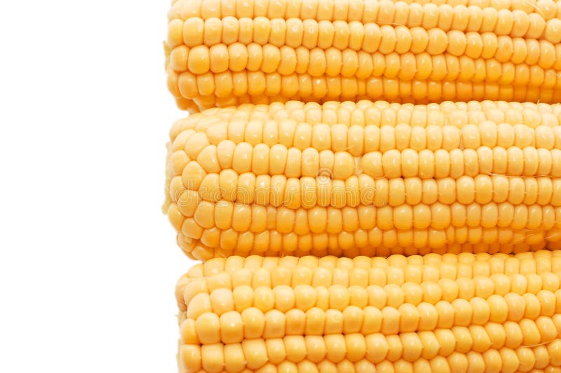 Fundo do milho imagem de stock. Imagem de objeto, colheita - 11335337