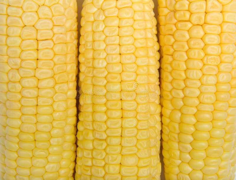 Fundo do milho imagem de stock. Imagem de colher, backdrop - 28686385