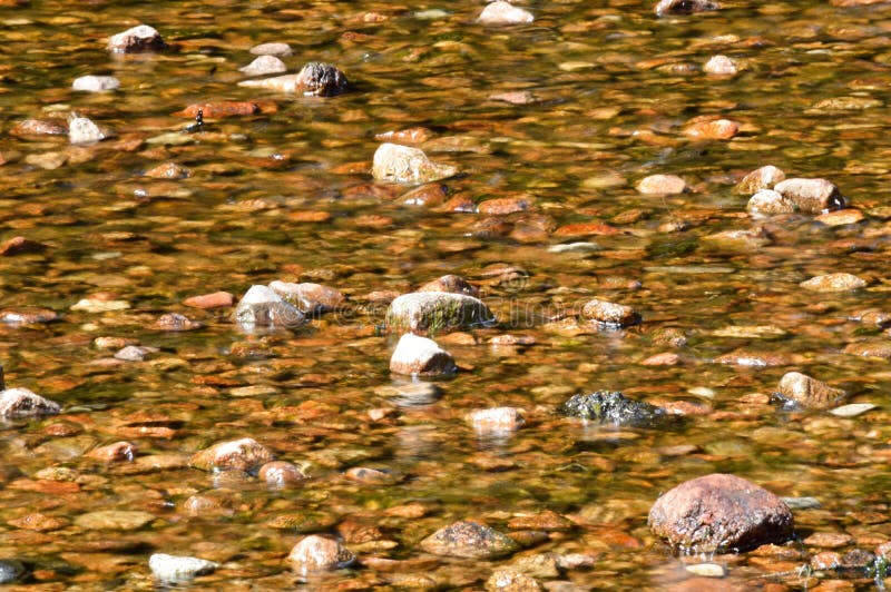 Fundo do rio imagem de stock. Imagem de azul, seixos - 188725857