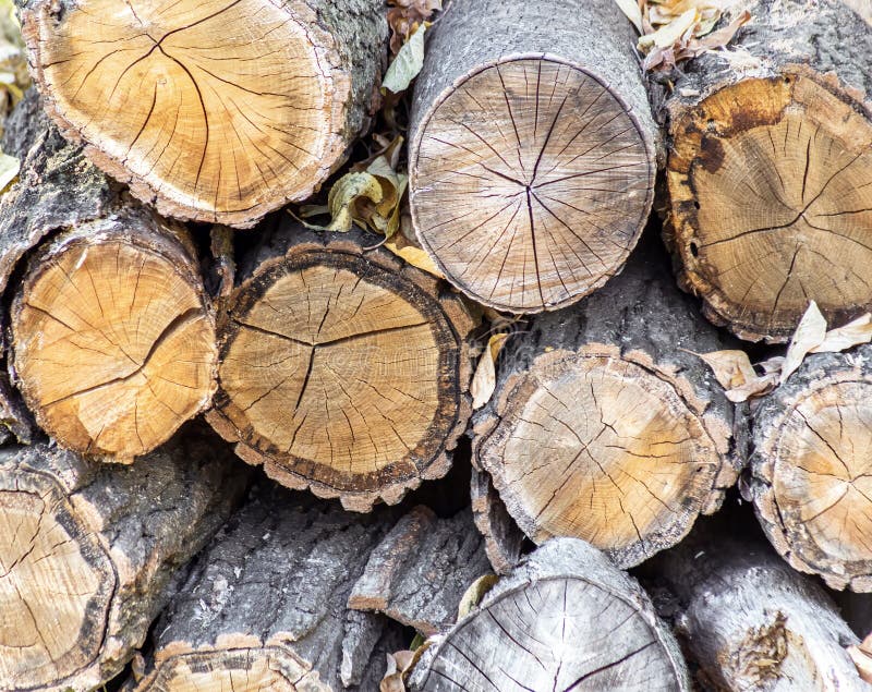 Fundo dos toros de madeira foto de stock. Imagem de lenha - 261211594