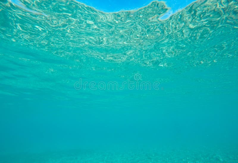 Fundo Marinho Submarino Com Fundo Rochoso Foto de Stock - Imagem de ...