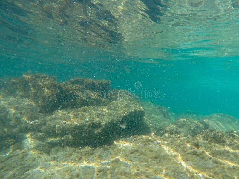 Fundo Marinho Submarino Com Fundo Rochoso Foto de Stock - Imagem de ...
