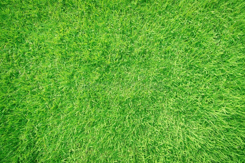 Fundo Natural De Relva Verde Foto de Stock - Imagem de exterior, golfe ...