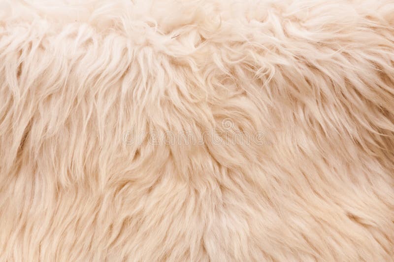 Fundo peludo natural imagem de stock. Imagem de material - 19413729