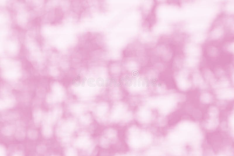 Fundo Rosa Desfocado Com Brilho Para Tela Fundo Rosa-do-boque Imagem de ...