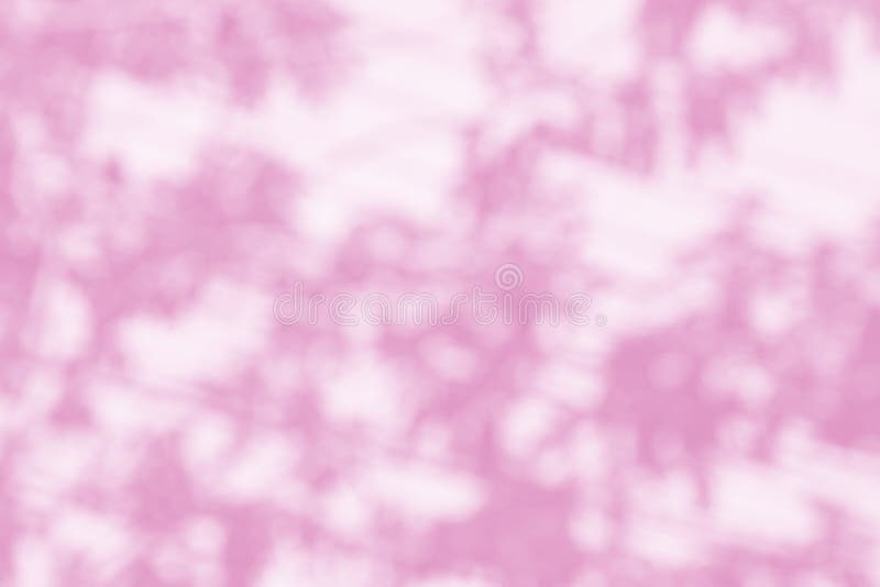 Fundo Rosa Desfocado Com Brilho Para Tela Fundo Rosa-do-boque Imagem de ...