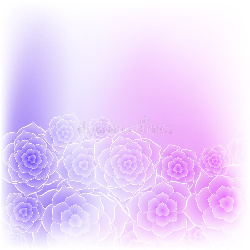 Fundo Roxo Bonito Da Flor Da Rosa Do Rosa Ilustração do Vetor ...