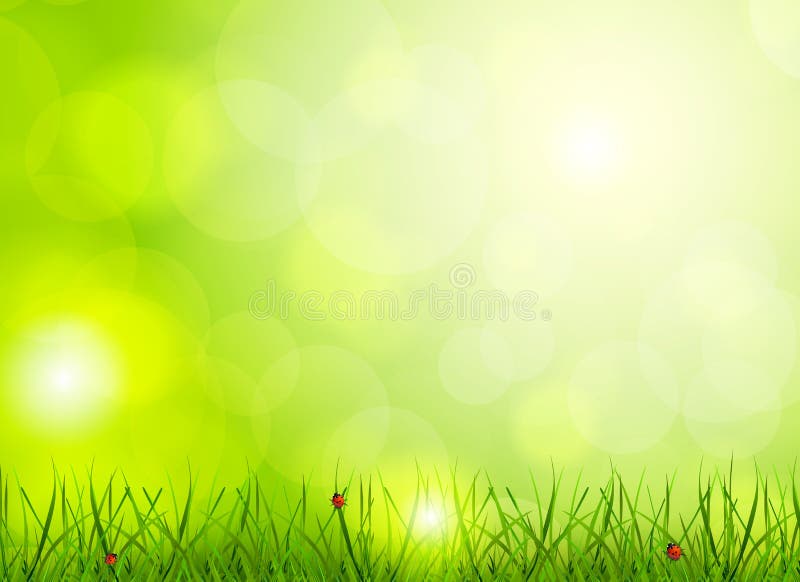 Fundo verde-claro ilustração do vetor. Ilustração de brilho - 28913762