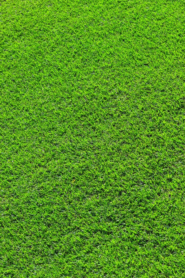 Fundo verde da erva foto de stock. Imagem de folha, verde - 28335054