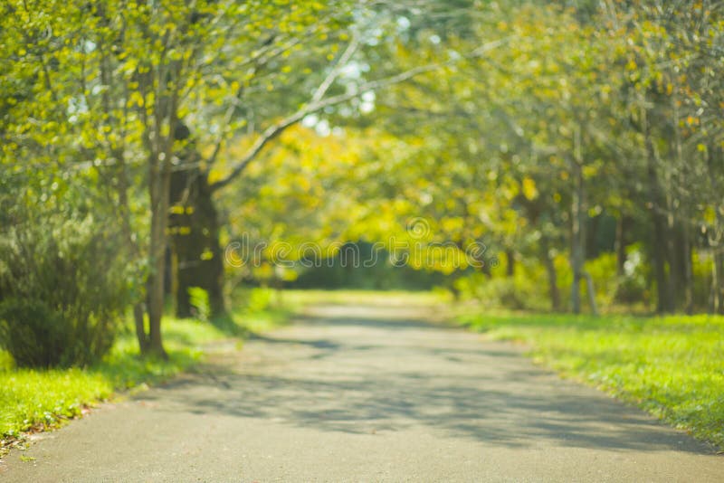 Fundo verde do parque foto de stock. Imagem de grama - 264267182
