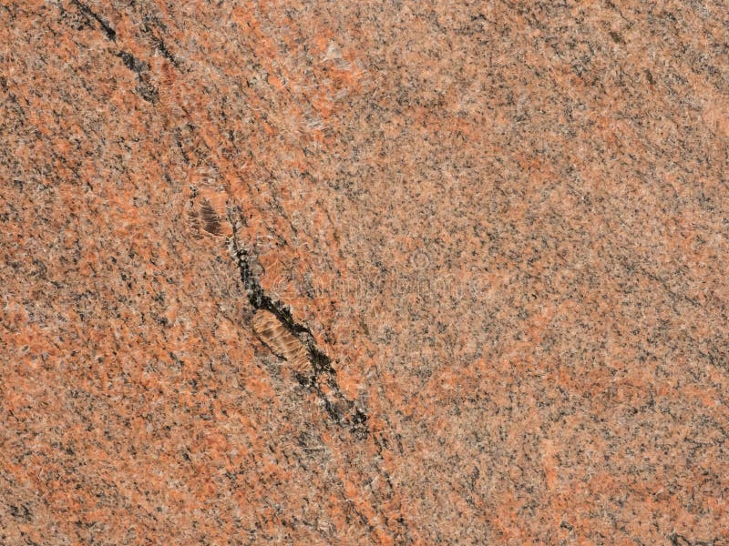 Fundos da textura de Mable imagem de stock. Imagem de cimento - 94979503