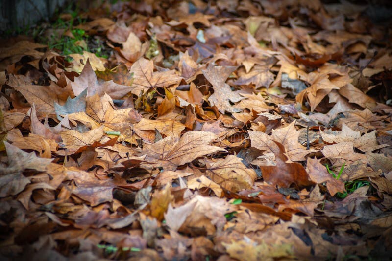 Funds with abstract forms stock photo. Image of exterior - 136729930