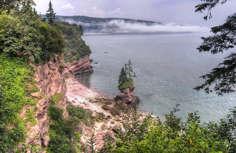 Fundy Trail, New Brunswick stock photo. Image of martins - 21056936