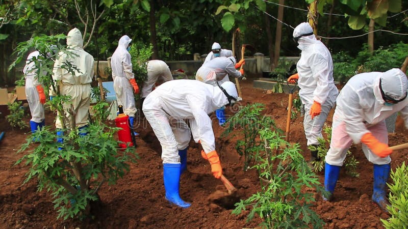 The Funeral Process of a Corpse Infected with the Corona Virus Stock ...