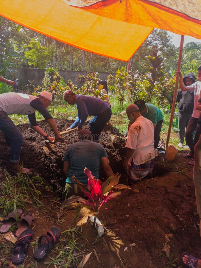 Funeral process editorial image. Image of natural, cemetery - 232106370