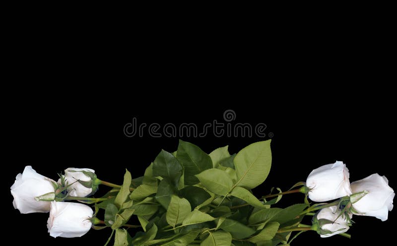 Funeral or Wake Invitation with White Roses. Can Also Be Used As a ...