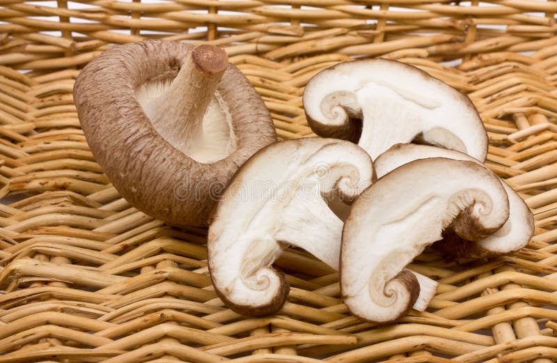 Funghi Shiitake immagine stock. Immagine di grezzo, medicinale - 13904057