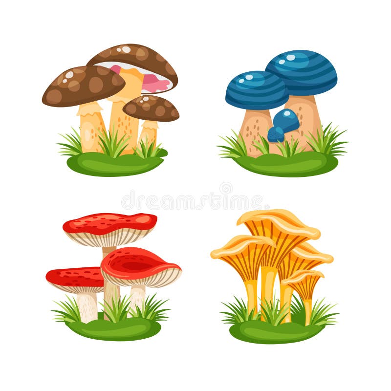 Funghi nell'erba illustrazione vettoriale. Illustrazione di mangi ...