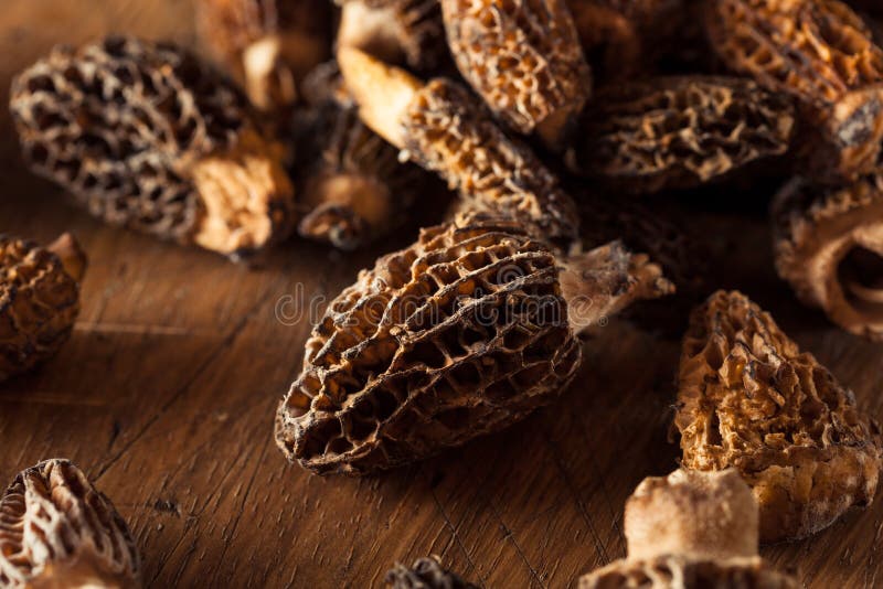 Funghi Organici Crudi Della Spugnola Immagine Stock - Immagine di nero ...