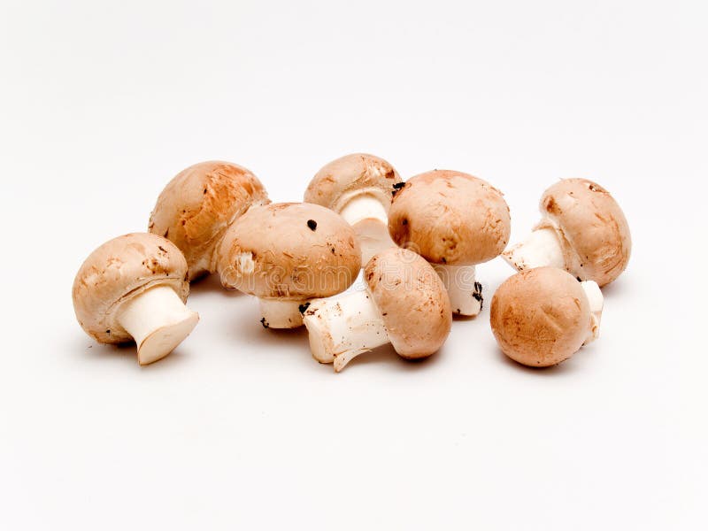 Funghi prataioli immagine stock. Immagine di ingredienti - 11936481