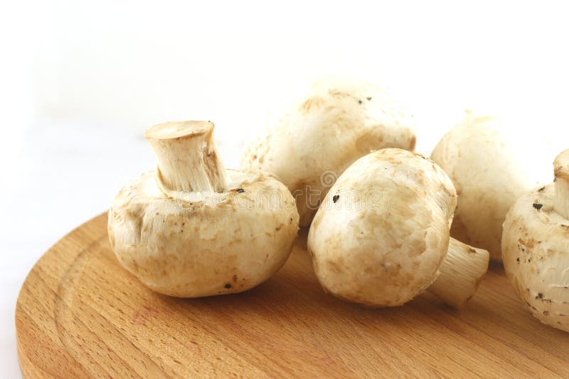 Funghi prataioli fotografia stock. Immagine di legno - 79841656