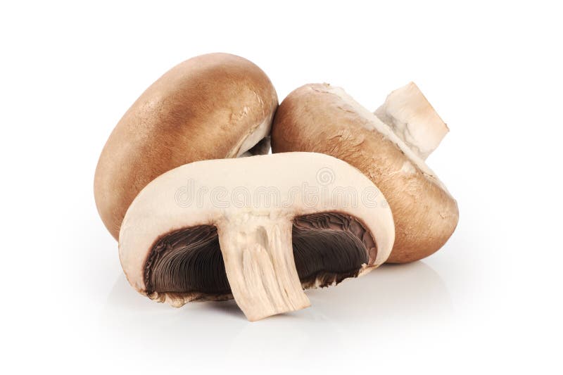 Funghi Prataioli E Basilico Reali Immagine Stock - Immagine di fetta ...