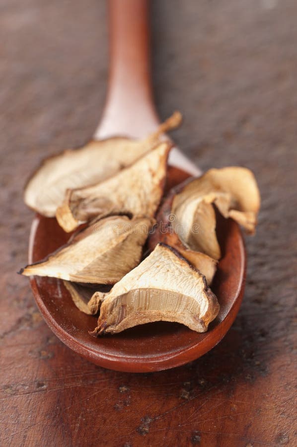 Funghi Secchi Edulis Del Boletus Fotografia Stock - Immagine di russo ...