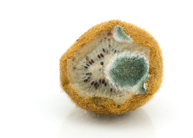 Fungos no fruto foto de stock. Imagem de circunstância - 32296466