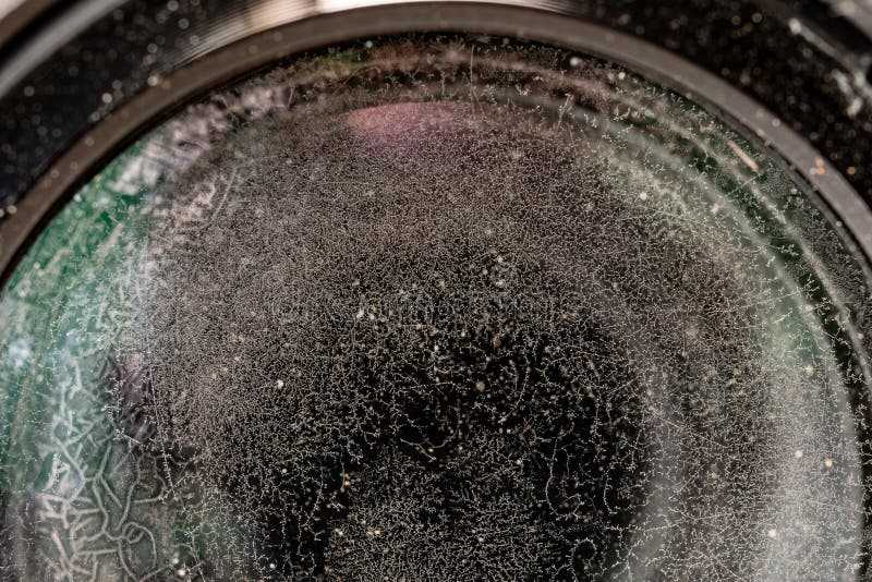 Fungus and Mold on a Camera Lens Stock Image - Image of abstract, lines ...