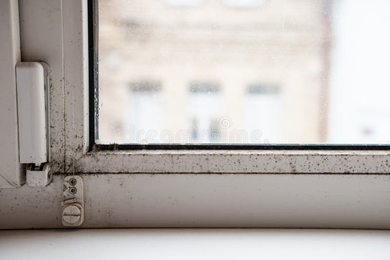 Mould and Rot on a White Plastic Window Frame Stock Photo - Image of ...
