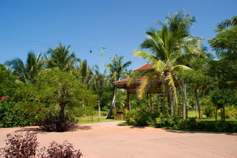 Jungle Scenery stock photo. Image of adventure, beams - 9832082