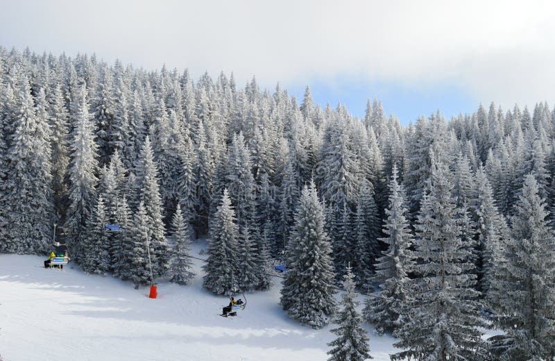 948 Funicular Trail Stock Photos - Free & Royalty-Free Stock Photos ...