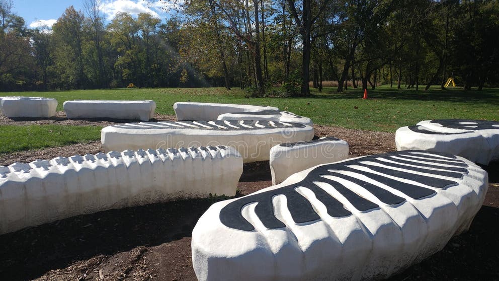 Funky Bones stock photo. Image of bones, tfios, skeleton - 79688920