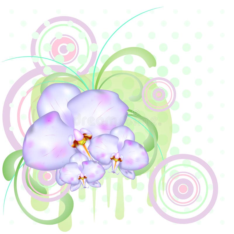 Funky flower stock illustration. Illustration of colourful - 10560233