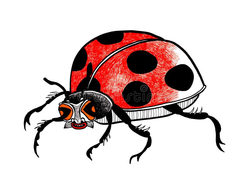 Scary Ladybug Stock Illustrations – 268 Scary Ladybug Stock ...