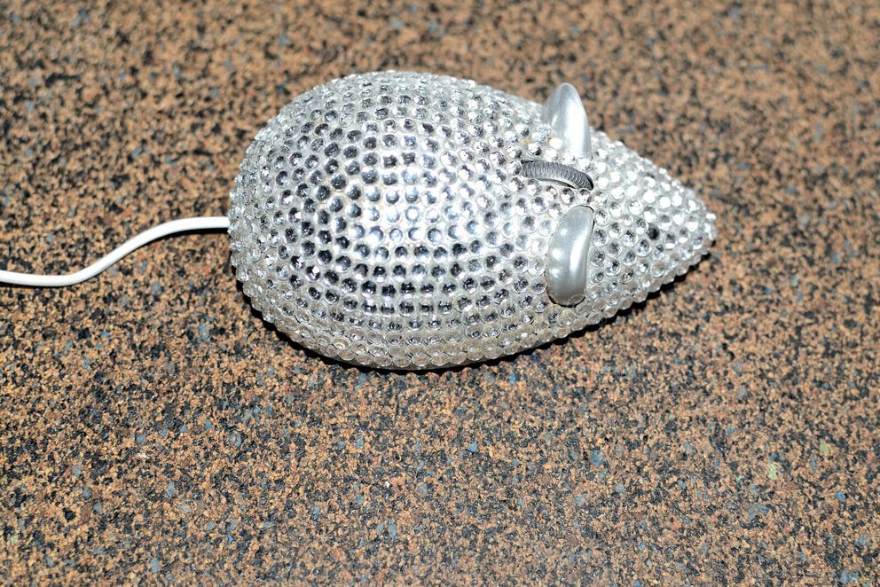 Funky usb mouse stock image. Image of mouse, mouses, funky - 27842133