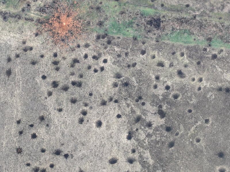 Funnels from Artillery Explosions Cannon Shells on the Ground: Top View ...