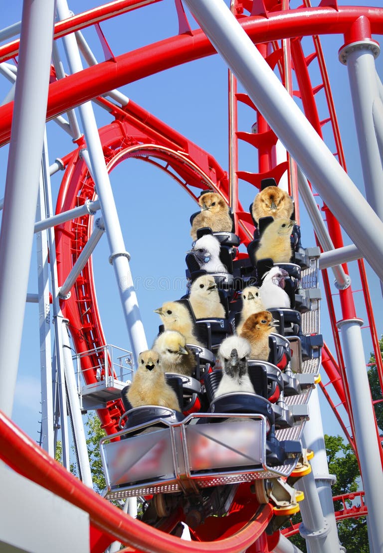 981 Colourful Animal Theme Stock Photos - Free & Royalty-Free Stock ...