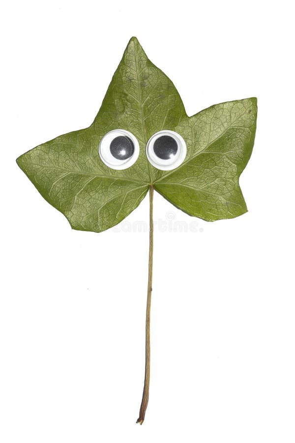 797 Funny Goggle Pictures Stock Photos - Free & Royalty-Free Stock ...