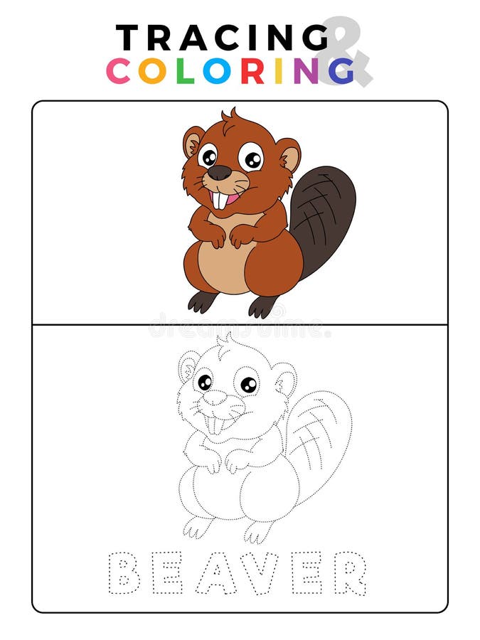 Funny Beaver Tracing and Coloring Book with Example. Preschool ...