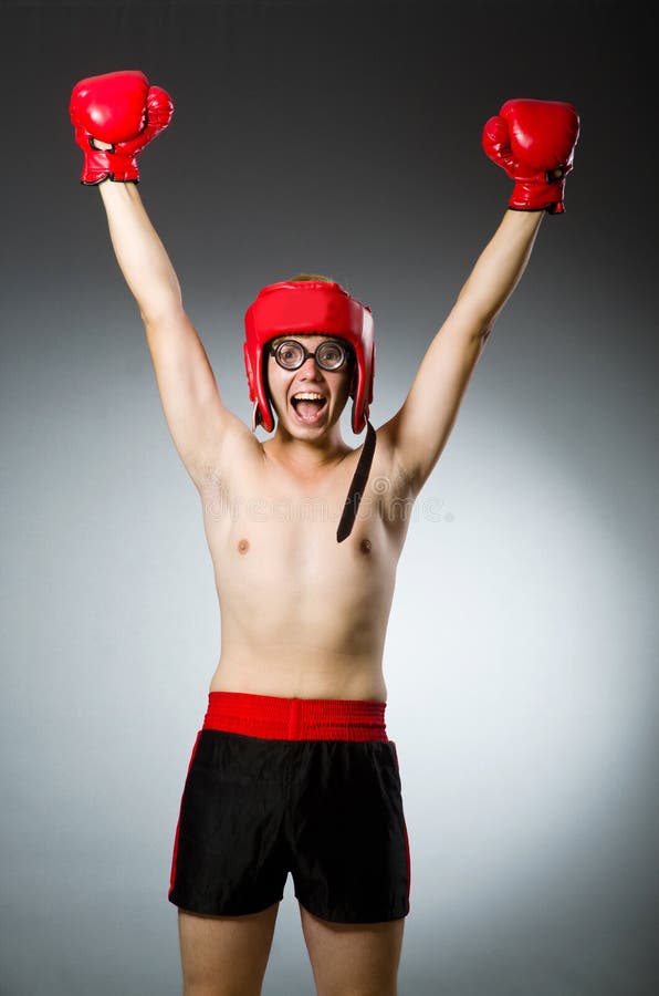 The Funny Boxer Isolated on the White Stock Photo - Image of champion ...