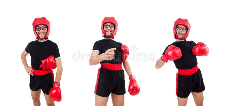 The Funny Boxer Isolated on the White Stock Image - Image of angry ...