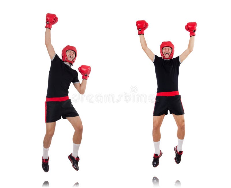 The Funny Boxer Isolated on the White Stock Image - Image of angry ...