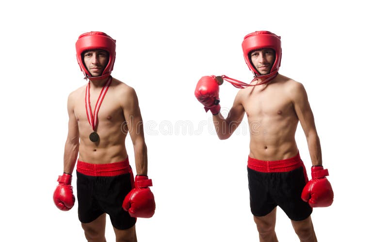 The Funny Boxer Isolated on the White Stock Photo - Image of humourous ...