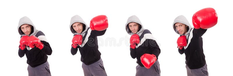 The Funny Boxer Isolated on the White Stock Photo - Image of irate ...