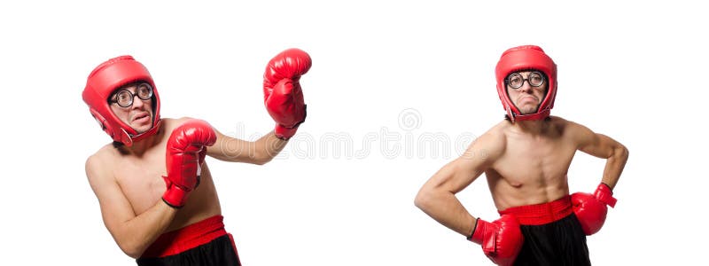 The Funny Boxer Isolated on the White Stock Image - Image of collage ...