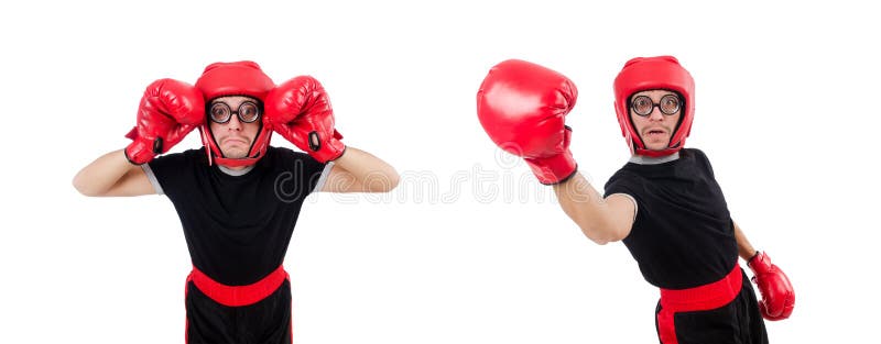 The Funny Boxer Isolated on the White Stock Image - Image of champion ...