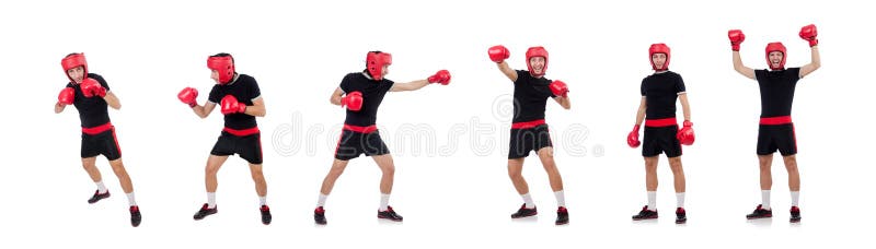 The Funny Boxer Isolated on the White Stock Photo - Image of humor ...