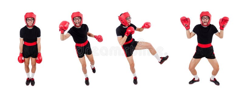 The Funny Boxer Isolated on the White Stock Photo - Image of fighter ...