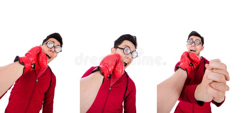 Funny Boxer Isolated on White Stock Image - Image of boxer, fight ...